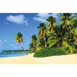 papermoon Fototapete &raquo;Exotic Palm Beach&laquo; glatt bunt Vlies B/L: 5m x 2,8m, Bahnen: 10 Stk.