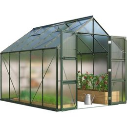Vitavia Gew&auml;chshaus &raquo;Domus 8300&laquo; mit Doppelschwingt&uuml;ren und bodentiefer T&uuml;rschwelle, 4 mm Hohlkammer gr&uuml;n B/H/T: 257cm x 253,9cm x 325cm