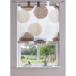 OTTO home Raffrollo &raquo;Belem&laquo; mit Schlaufen Transparent, Voile, Polyester braun Voile, Obermaterial: 100% Polyester 140cm, Schlaufen, 100cm