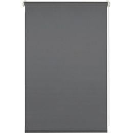 Gardinia Seitenzugrollo &raquo;Uni Klemmrollo&laquo; Lichtschutz Sichtschutz mit Bohren/ohne Bohren freih&auml;ngend Schraubmontage m&ouml;glich grau Polyester 150cm, 