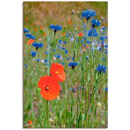 Artland Leinwandbild &raquo;Wiese mit Mohnblumen und Kornblumen&laquo; Blumen 1 Stk. tlg. auf Holzrahmen gespannt bunt Leinwand B/H/T: 20cm x 30cm, Leinwandbild Blumen 