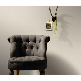 Erismann Vliestapete &raquo;Vliestapete Colour Passion&laquo; gepr&auml;gt Phthalate frei beige Vlies B/L: 0,53m x 10,05m, Rollen: 1
