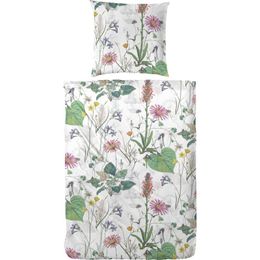 Primera Bettw&auml;sche &raquo;Mako-Satin Bettw&auml;sche Botanicals&laquo; 2 Stk. Mit satten Gr&uuml;nt&ouml;nen gr&uuml;n Mako-Satin, Obermaterial: 100% Baumwolle B/L: 155cm x 220cm, 1 Stk., 1 