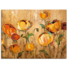 Artland Wandbild &raquo;Freudige Ranunkel&laquo; Blumen 1 Stk. tlg. als Leinwandbild, Poster in verschied. Gr&ouml;&szlig;en orange Leinwand B/H/T: 120cm x 90cm, Leinwandbild Blumen