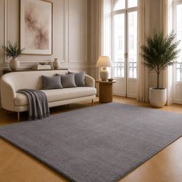 the carpet Teppich &raquo;kuschelig & Super Soft, Anti-Rutsch Unterseite,&laquo; rechteckig 16 mm H&ouml;he Waschbar bis 30 Grad, Felloptik, Wohnzimmer Teppich, 