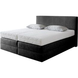 Westfalia Schlafkomfort Boxspringbett wahlweise mit Kaltschaum-Topper schwarz Microvelours (100% Polyester) Microvelours Ohne Topper, Liegefl&auml;che B/L: 180cm x 200cm, H2 + H2,