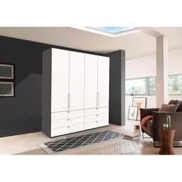 Wiemann Faltt&uuml;renschrank &raquo;Loft, Kleiderschrank, Schrank, W&auml;scheschrank, mit Glasfront&laquo; 3 Breiten, 2 H&ouml;hen 216/236 cm ausw&auml;hlbar, MADE IN GERMANY, inkl