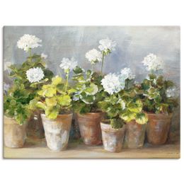 Artland Wandbild &raquo;Wei&szlig;e Geranien&laquo; Blumen 1 Stk. tlg. als Leinwandbild, Poster in verschied. Gr&ouml;&szlig;en wei&szlig; Leinwand B/H/T: 40cm x 30cm, Leinwandbild Blumen 