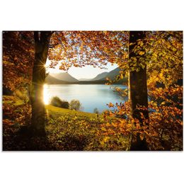Artland Wandbild &raquo;Herbst am Sylvensteinsee&laquo; Gew&auml;sser 1 Stk. tlg. als Alubild, Leinwandbild in verschied. Gr&ouml;&szlig;en orange B/H/T: 60cm x 40cm, Alu-Dibond-Druck 
