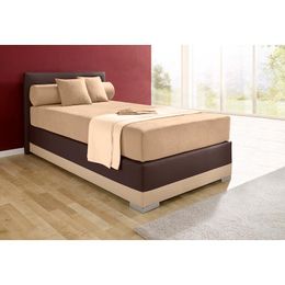 Maintal Boxspringbett &raquo;Lago&laquo; in 3 verschiedenen Matratzenarten, H2 oder H3 braun Bezug Kopteil und seitliche Unterbox wahlweise Microvelours aus 100% 