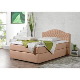 Maintal Boxspringbett in diversen Ausf&uuml;hrungen braun Seitliche Einfassung Unterbox und Obermatratze: Mikrovelours (100% Polyester);Spiegelfl&auml;che der Unterbox 
