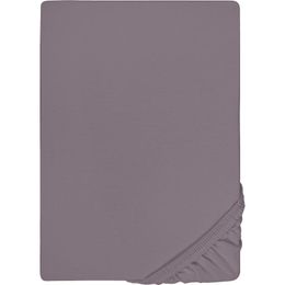 Biberna Spannbettlaken &raquo;Conny&laquo; hochwertiges Jersey-Elasthan geeignet f&uuml;r Wasser- und Boxspringbetten grau Jersey-Elasthan, Obermaterial: 95% Baumwolle, 5% 