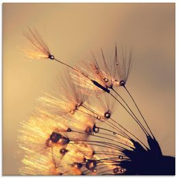Artland Glasbild &raquo;Pusteblume Goldene Schirmchen&laquo; Blumen 1 Stk. tlg. in verschiedenen Gr&ouml;&szlig;en gold B/H/T: 20cm x 20cm, Glasbild Blumen quadratisch, 1 Stk.