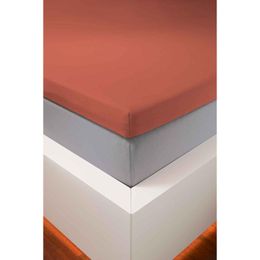 bellana Spannbettlaken &raquo;bellana deluxe f&uuml;r Topper, mit Elasthan, Premium Jersey 230 g/m&sup2;&laquo; mit 5% Elasthan, f&uuml;r Topper mit 4-10cm H&ouml;he, b&uuml;gelfrei, 