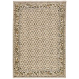 Theko Wollteppich &raquo;Mir&laquo; rechteckig 10 mm H&ouml;he Kurzflor, Orient-Optik, mit Bord&uuml;re & Fransen, 90% Wolle, pflegeleicht beige Nylon, Schurwolle B : 60cm 