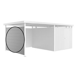 BioHort Ger&auml;tehaus-Seitenwand &raquo;f&uuml;r Ger&auml;tehaus HighLine Seitendach H5/H6, verschiedene Farben&laquo; silber-metallic silber Stahlblech B/H/T: 277cm x 181cm x 2,5cm