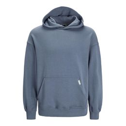 Jack & Jones JACK & JONES Sweatshirt 'JCOCollective' male size L Dusty blue