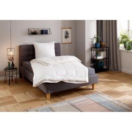QUEENS TEXTILES Microfaserbettdecke &raquo;Luxus&laquo; 4-Jahreszeiten 1 Stk. tlg. Bettdecke, 135x200 cm und weitere Gr&ouml;&szlig;en, 4-Jahreszeiten oder Winter wei&szlig; Bezug