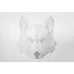 ARCHITECTS PAPER Fototapete &raquo;Atelier 47 Fox Graphic 2&laquo; abstrakt glatt Vlies, Wand, Schr&auml;ge, Decke grau Vlies B/L: 4m x 2,7m