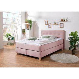 Home Affaire Boxspringbett &raquo;Fargo&laquo; inkl. Topper, in 3 Matratzenarten, in Samt- oder Strukturstoff lila Struktur fein (100% Polyester);Samtstoff (100% 