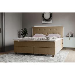 Home Affaire Boxspringbett &raquo;Alenika&laquo; mit LED - Beleuchtung, mit Taschen-Federkernmatratze braun 100% Polyester Struktur PUR-Schaum-Topper RGB-LED-