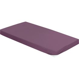Bierbaum Spannbettlaken &raquo;Jersey&laquo; 95 % Baumwolle und 5 % Elasthan f&uuml;r optimale Weichheit und Dehnbarkeit lila Jersey, Obermaterial: 95% Baumwolle, 5% 