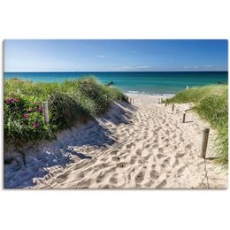 Artland Wandbild &raquo;Weg zum Strand an der Ostsee&laquo; Strandbilder 1 Stk. tlg. als Alubild, Leinwandbild, Poster in verschied. Gr&ouml;&szlig;en blau B/H/T: 60cm x 40cm, 