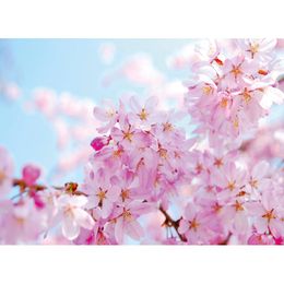 papermoon Fototapete &raquo;Cherry Blossom&laquo; glatt bunt Vlies B/L: 3,5m x 2,6m, Bahnen: 7 Stk.