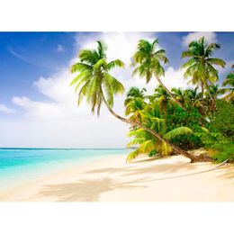 papermoon Fototapete &raquo;Beach in the South Seas&laquo; glatt bunt Vlies B/L: 3,5m x 2,6m, Bahnen: 7 Stk.