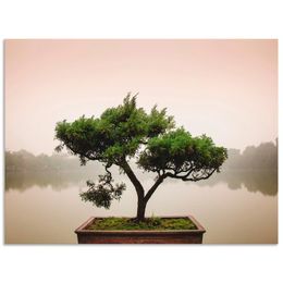 Artland Leinwandbild &raquo;Chinesischer Bonsaibaum&laquo; B&auml;ume 1 Stk. tlg. auf Holzrahmen gespannt gr&uuml;n B/H/T: 40cm x 30cm, Leinwandbild B&auml;ume Querformat, 1 Stk.
