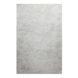 Teppich &raquo;Pisa&laquo; rund 25 mm H&ouml;he Hochflor, Microfaser, uni, weich, Shaggy, Wohnzimmer, Schlafzimmer grau Polyester B : 200cm 1 Stk., 25mm, L: 290cm