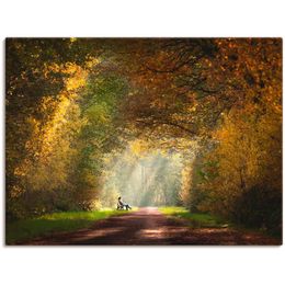 Artland Leinwandbild &raquo;Licht am Ende des Tunnels...&laquo; Wald 1 Stk. tlg. auf Holzrahmen gespannt gr&uuml;n Leinwand B/H/T: 60cm x 45cm, Leinwandbild Wald Querformat, 1
