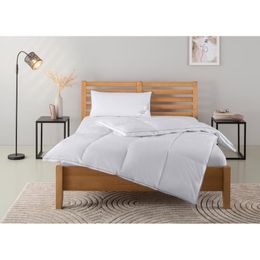 OTTO home Daunenbettdecke + Kopfkissen &raquo;Moulle, Bettdecke in 135x200 cm, 155x220 cm, 2-tlg.&laquo; Set mit Kissen 40x80 cm, 80x80 cm, Sommer, Winter, Made 