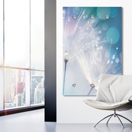 queence Garderobenleiste &raquo;Dandelion&laquo; Wand Garderobe, Pflanze, Pusteblume, platzsparend blau Acrylglas B/H/T: 80cm x 120cm x 3cm