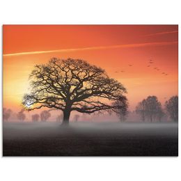 Artland Glasbild &raquo;Filigran und mehr...&laquo; B&auml;ume 1 Stk. tlg. in verschiedenen Gr&ouml;&szlig;en orange B/H/T: 80cm x 60cm, Glasbild B&auml;ume Querformat, 1 Stk.