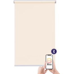 SUNLINES Elektrisches Rollo &raquo;Akkurollo Upcycling appgesteuert, blickdicht, &laquo; blickdicht ohne Bohren appgesteuert via Bluetooth beige Kunststoff, 