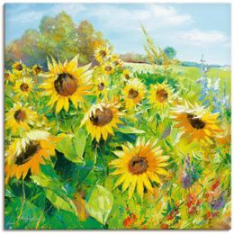 Artland Wandbild &raquo;Sommerwiese mit Sonnenblumen&laquo; Blumenwiese 1 Stk. tlg. als Leinwandbild, Poster in verschied. Gr&ouml;&szlig;en gelb B/H/T: 50cm x 50cm, Leinwandbild 
