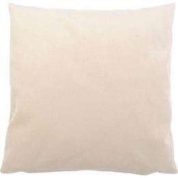G&ouml;zze Dekokissen &raquo;Duval&laquo; mit Rei&szlig;verschluss, Kissenh&uuml;le ohne F&uuml;llung, 2 St&uuml;ck beige Polyester B/L: 60cm x 60cm, 2 Stk.