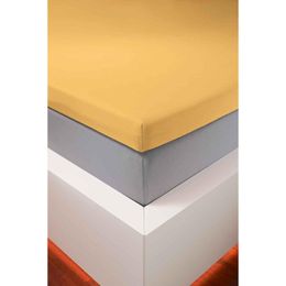 bellana Spannbettlaken &raquo;bellana deluxe f&uuml;r Topper, mit Elasthan, Premium Jersey 230 g/m&sup2;&laquo; mit 5% Elasthan, f&uuml;r Topper mit 4-10cm H&ouml;he, b&uuml;gelfrei, 