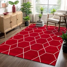 Sanat Teppich &raquo;Trellis, auch als L&auml;ufer und Rund&laquo; rechteckig 10 mm H&ouml;he Kurzflor, skandi, boho, gro&szlig;e Farbauswahl, alle R&auml;ume Kunstfaser B : 160cm 1 Stk., 