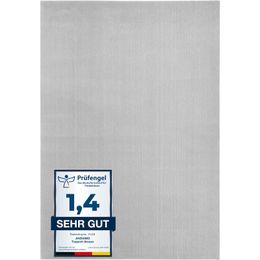 ANDIAMO Teppich &raquo;Arezzo&laquo; rechteckig 16 mm H&ouml;he Uni Farben, weicher Flor, waschbar, ideal im Wohnzimmer & Schlafzimmer grau Polyester B : 160cm 1 Stk., 16mm, L