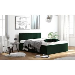 Westfalia Schlafkomfort Polsterbett mit Bettkasten bei Ausf&uuml;hrung mit Matratze gr&uuml;n Liegefl&auml;che L&auml;nge B: 200cm x 180cm, Samtvelours, H&ouml;he Liegefl&auml;che: 55,00, Bonnell-