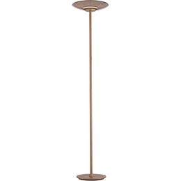 Neuhaus PURE LED Stehlampe &raquo;PURE Moon&laquo; LED-Board 1 Stk. Warmwei&szlig; Stufenloses dimmen per Touchdimmer, Rauchglas braun 1, &Oslash; 32cm H: 180cm, 1 Stk.