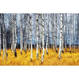 papermoon Fototapete &raquo;Autumn Birch Grove&laquo; glatt bunt Vlies B/L: 2,5m x 1,86m, Bahnen: 5 Stk.