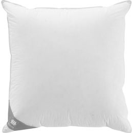 Musterring 3-Kammer-Kopfkissen &raquo;Dreamz&laquo; F&uuml;llung: Aussenkammermit90DaunenundInnekammermit100Federn 1 Stk. tlg. in den Gr&ouml;&szlig;en 40 x 80 cm und 80 x 80 cm erh&auml;ltlich.