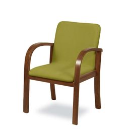 Home Affaire Esszimmersessel &raquo;LINA707 Esszimmerstuhl&laquo; 1 Stk. tlg. Fleckenabweisendes Gewebe, Massivholz Gestell dampfgebogen gr&uuml;n 100% Polyester 