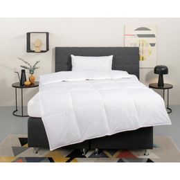 OTTO home Daunenbettdecke + Kopfkissen &raquo;Cyra Set, Bettdecke 135x200 & 155x220 cm mit Kissen 80x80 cm&laquo; Set, wo besonders auf artgerechte Haltung der 