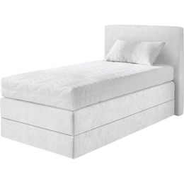 Westfalia Schlafkomfort Boxspringbett wahlweise mit Kaltschaum-Topper wei&szlig; Microvelours (100% Polyester) Microvelours Kaltschaum-Topper, Liegefl&auml;che B/L: 120cm x 200cm, 