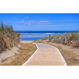 papermoon Fototapete &raquo;Langeoog Dunes&laquo; glatt bunt Vlies B/L: 2,5m x 1,86m, Bahnen: 5 Stk.