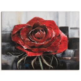 Artland Leinwandbild &raquo;Bl&uuml;hende rote Rose&laquo; Blumen 1 Stk. tlg. auf Holzrahmen gespannt rot Leinwand B/H/T: 40cm x 30cm, Leinwandbild Blumen Querformat, 1 Stk.